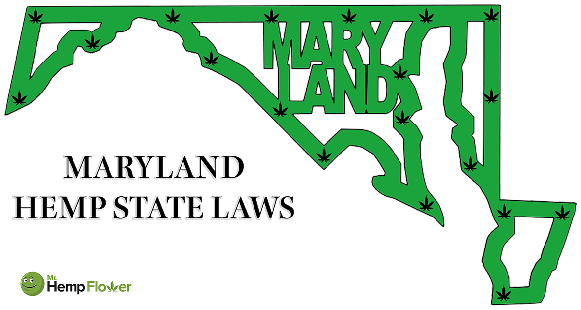 Mr. Hemp Flower - Can You Buy Hemp Flower in Maryland?