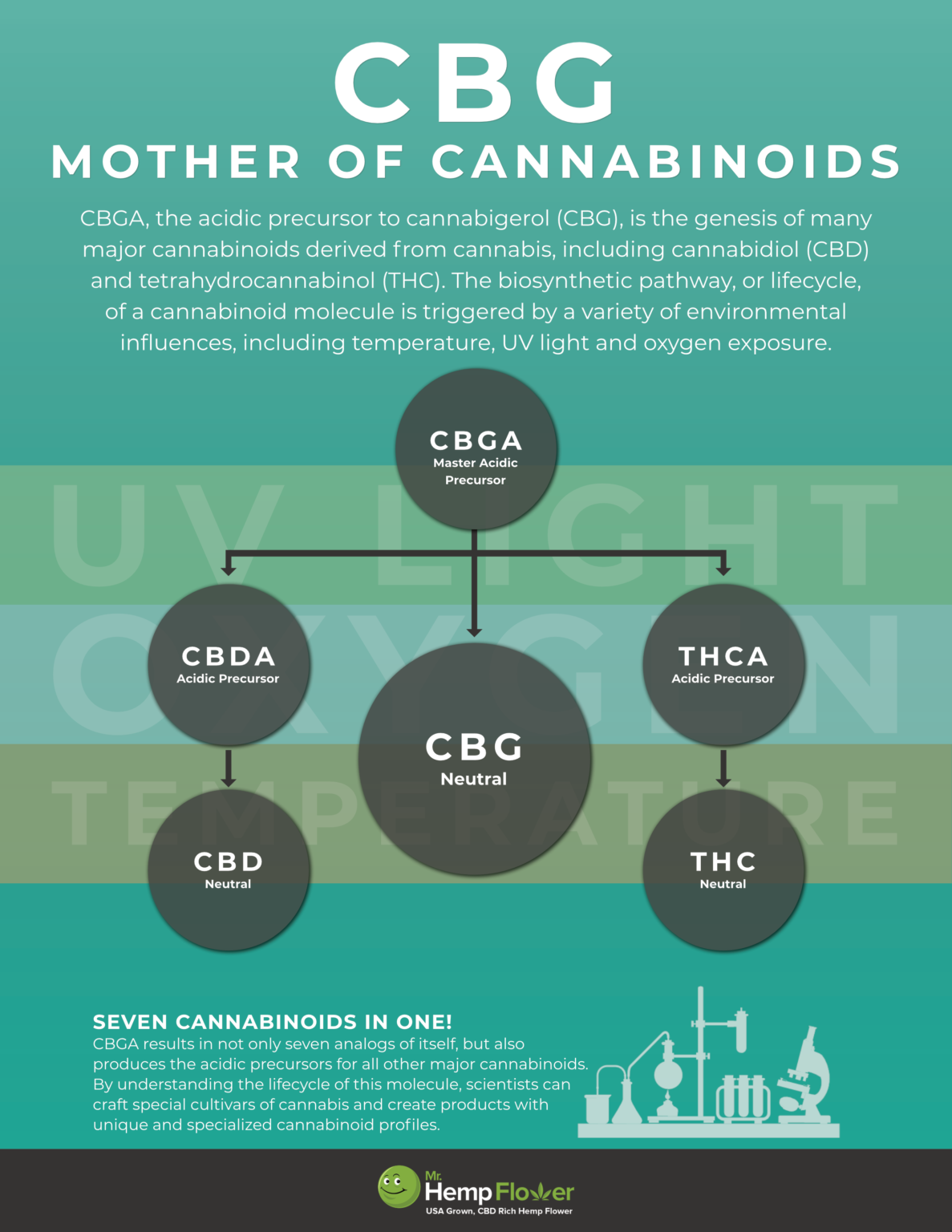 What Is CBG Flower And Should You Use It CBG Hemp Flower Guide