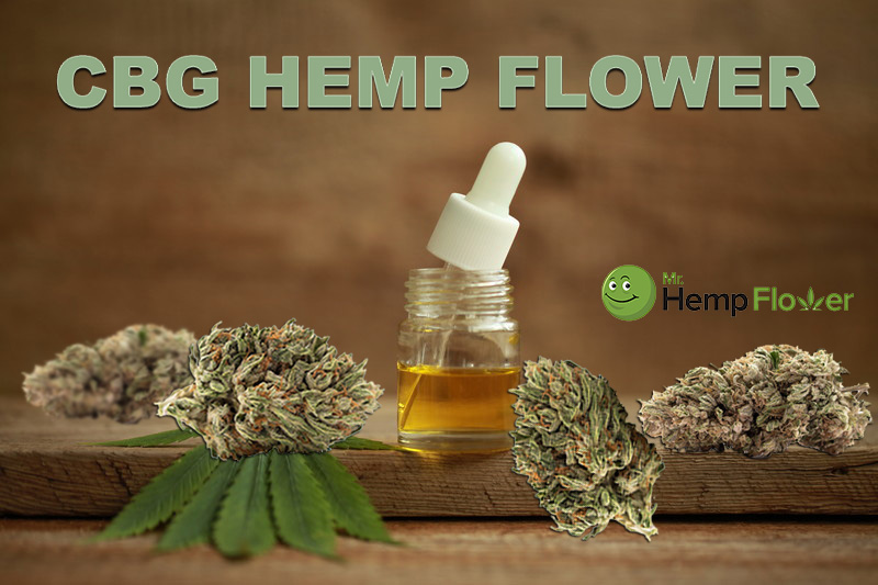 What Is CBG Flower And Should You Use It CBG Hemp Flower Guide