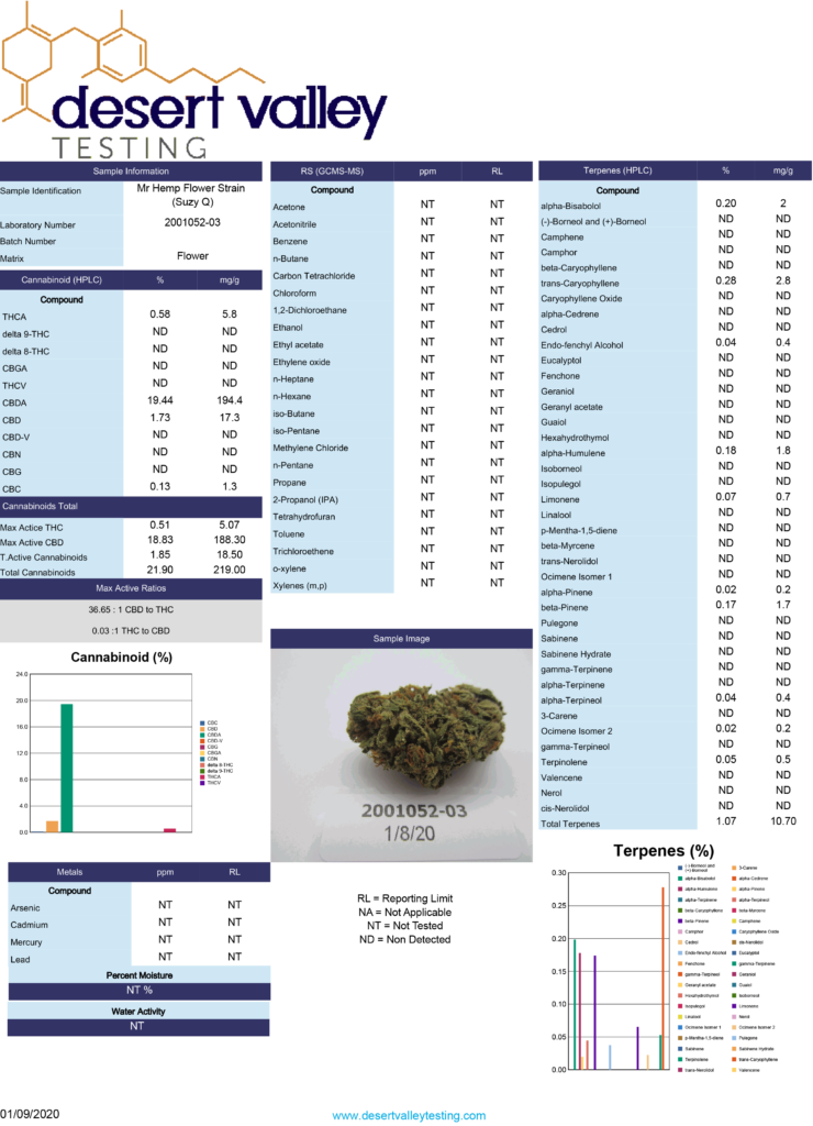 Suzy Q Hemp Flower Strain Review - Must Try - AWESOME