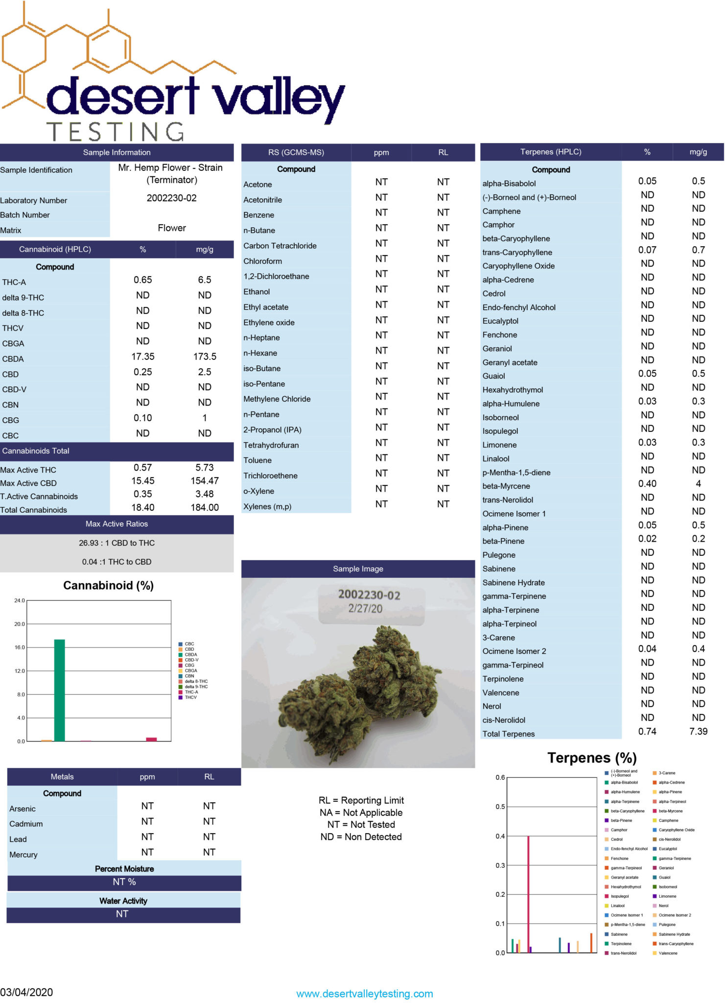 Terminator Review By Mr. Hemp Flower - CBD Hemp Flower Strain