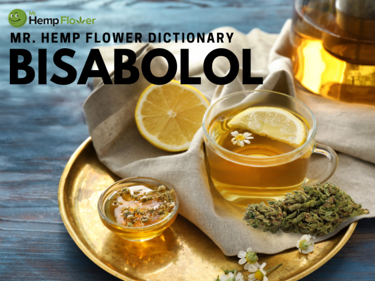 Borneol Terpene Review + High Borneol Strains