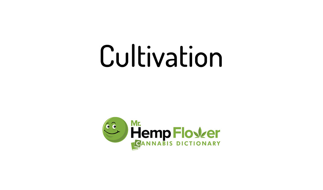 Cultivation ... What Is It Exactly? How Does It Work? See Here