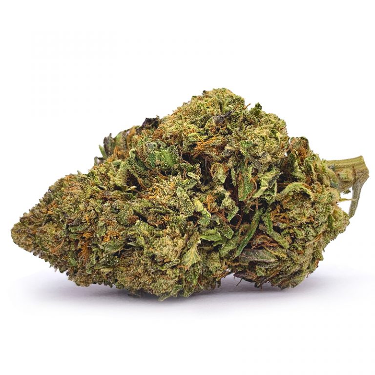 Terpene Review: Fenchol - What Is It And What It Does