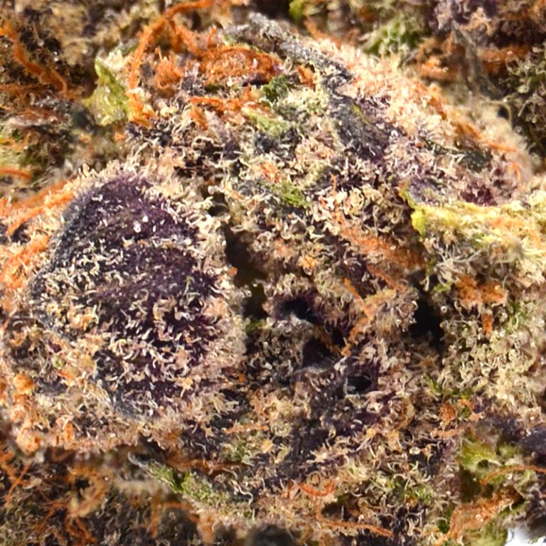 THCa Flower For Sale! Multiple Strains and Potencies