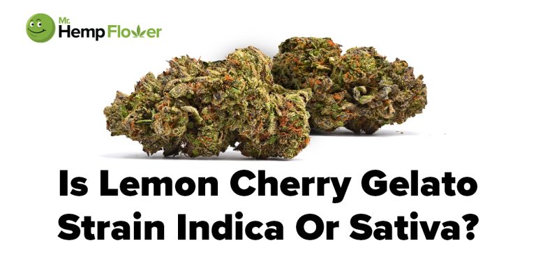 LCG THCA Flower: Indica or Sativa? A Comprehensive Guide