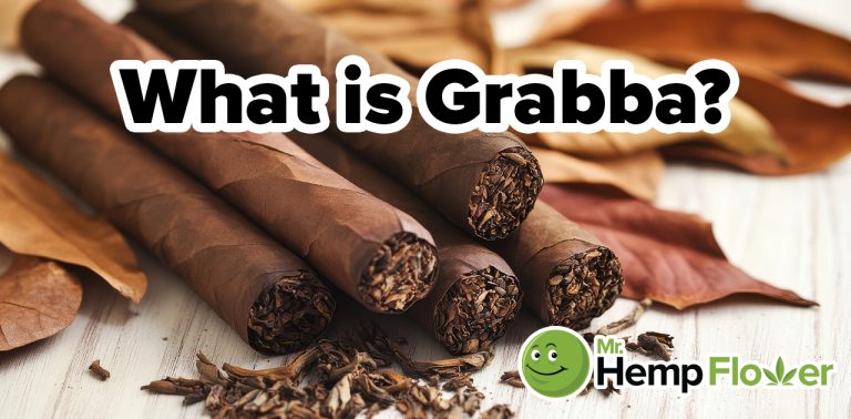 What is Grabba? Everything You Need to Know