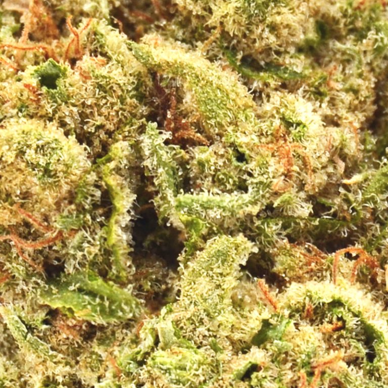 Premium CBD Hemp Flower + Delta 8, Delta 9 THC Products