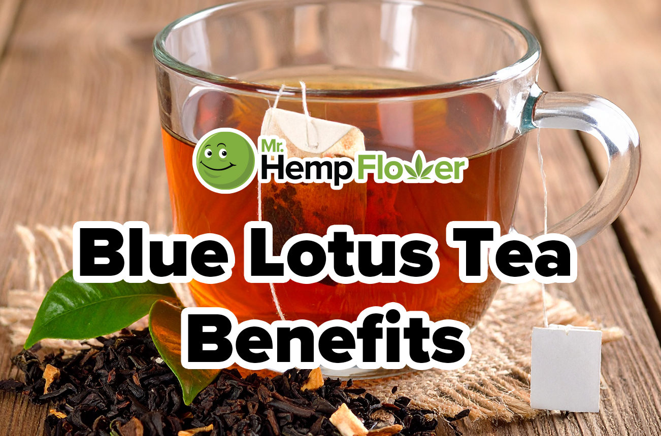 Blue Lotus Tea Benefits Explained: Effects, Uses & Legality