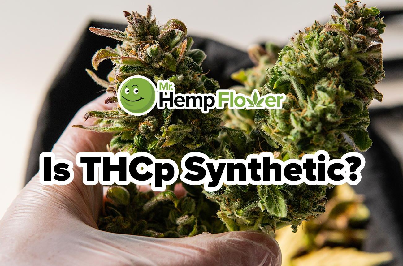Is THCP Synthetic? The Truth About This Potent Hemp-Derived Cannabinoid