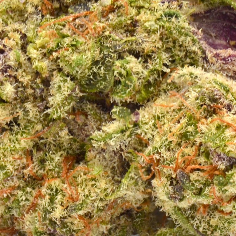 Shop THCa Flower online! Multiple Strains and Potencies