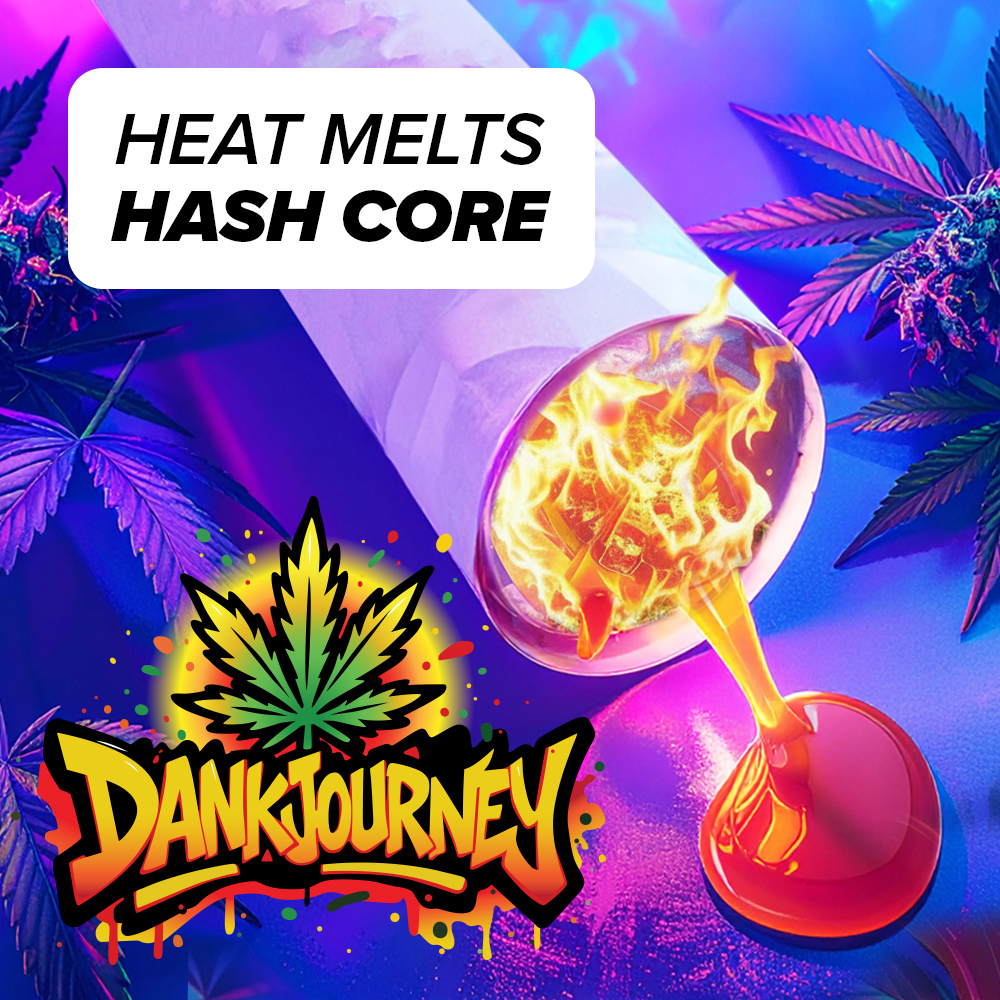 What Is a Hash Hole? Complete Beginner’s Guide (2026)