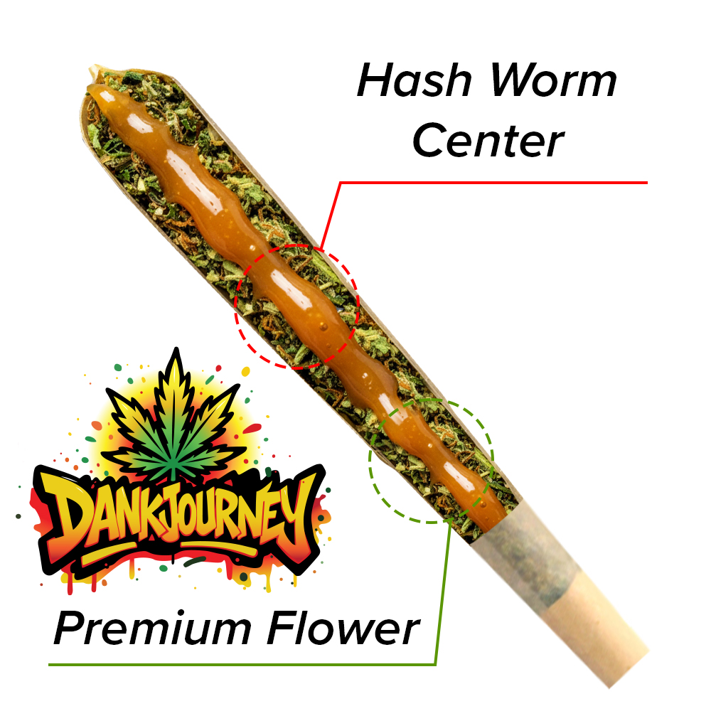 What Is a Hash Hole? Complete Beginner’s Guide (2026)