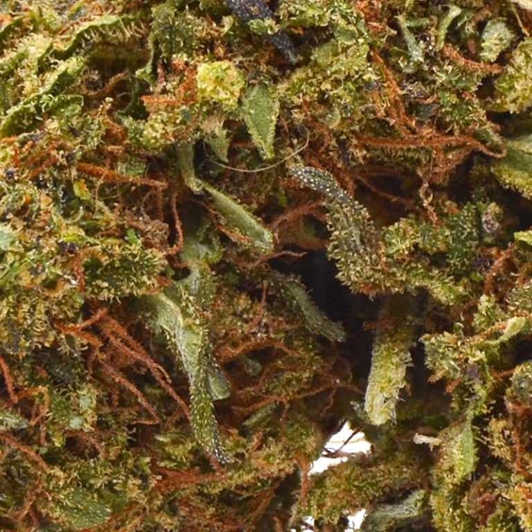 Terpene Review: Fenchol - What Is It And What It Does